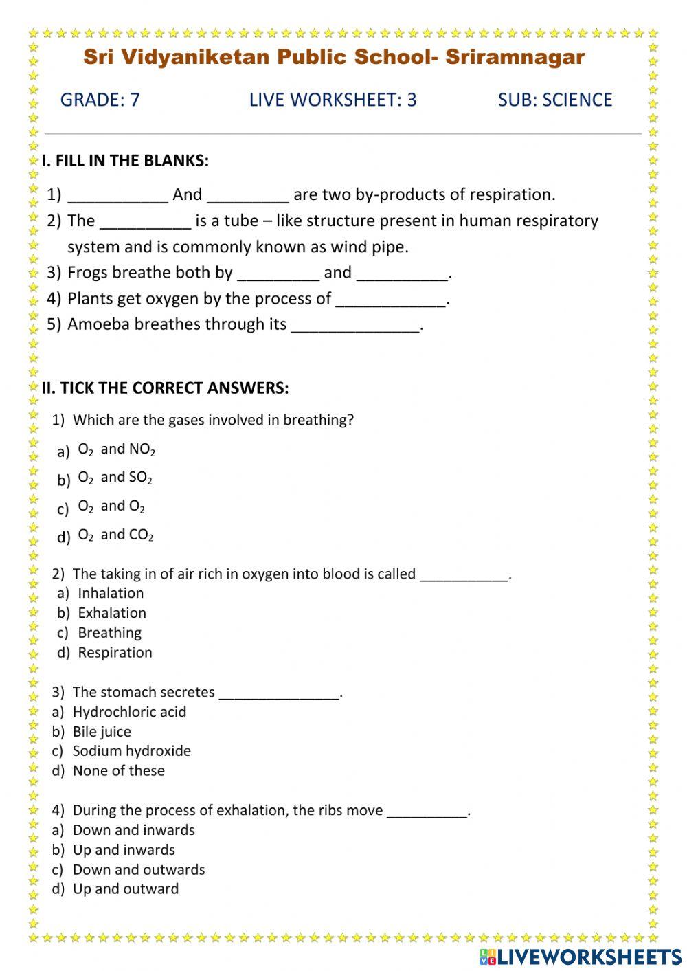 Respiration Worksheet 1190897 | 7Aclassteacher | Live