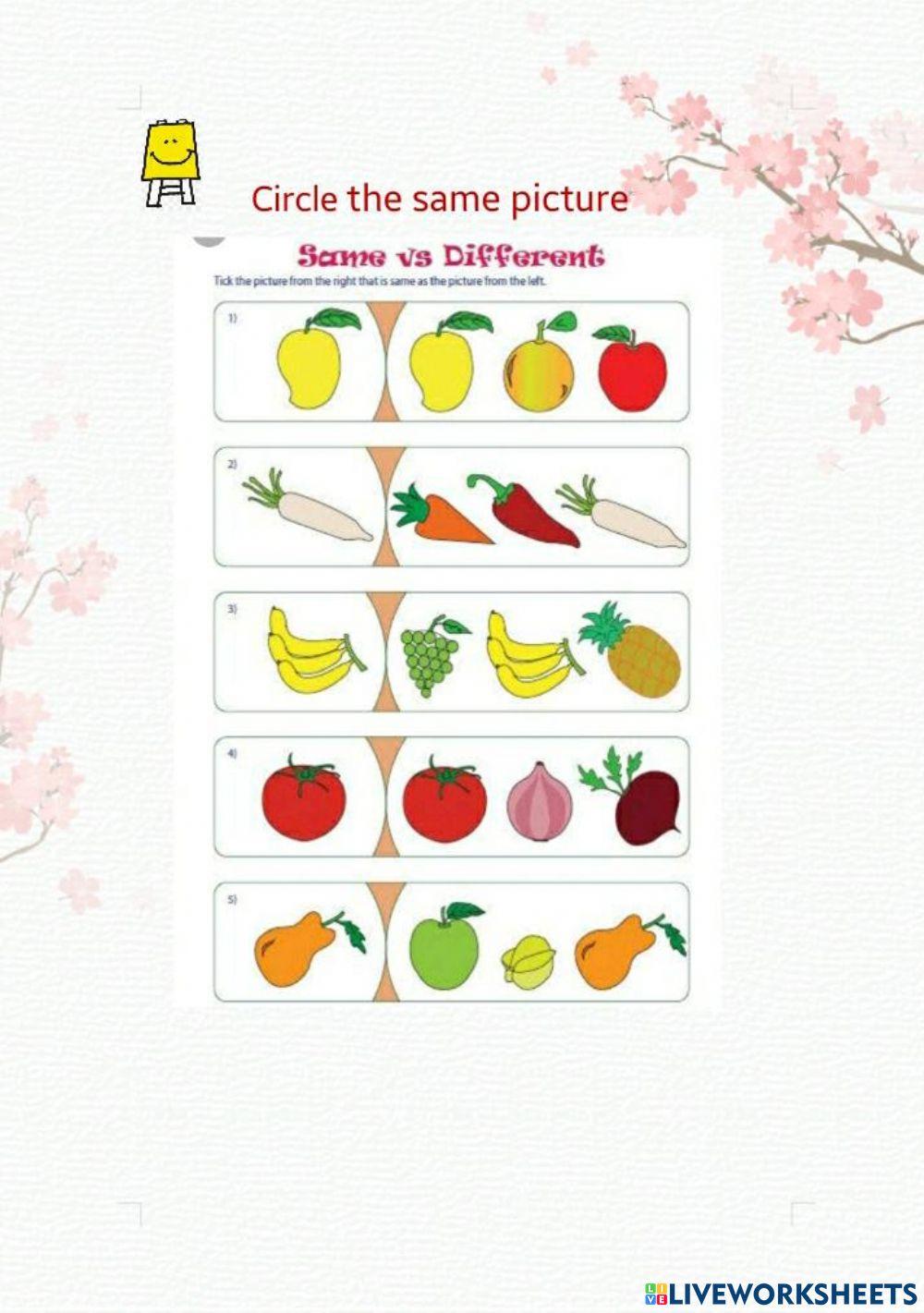 1190959 | Circle the same picture | csridevi1234