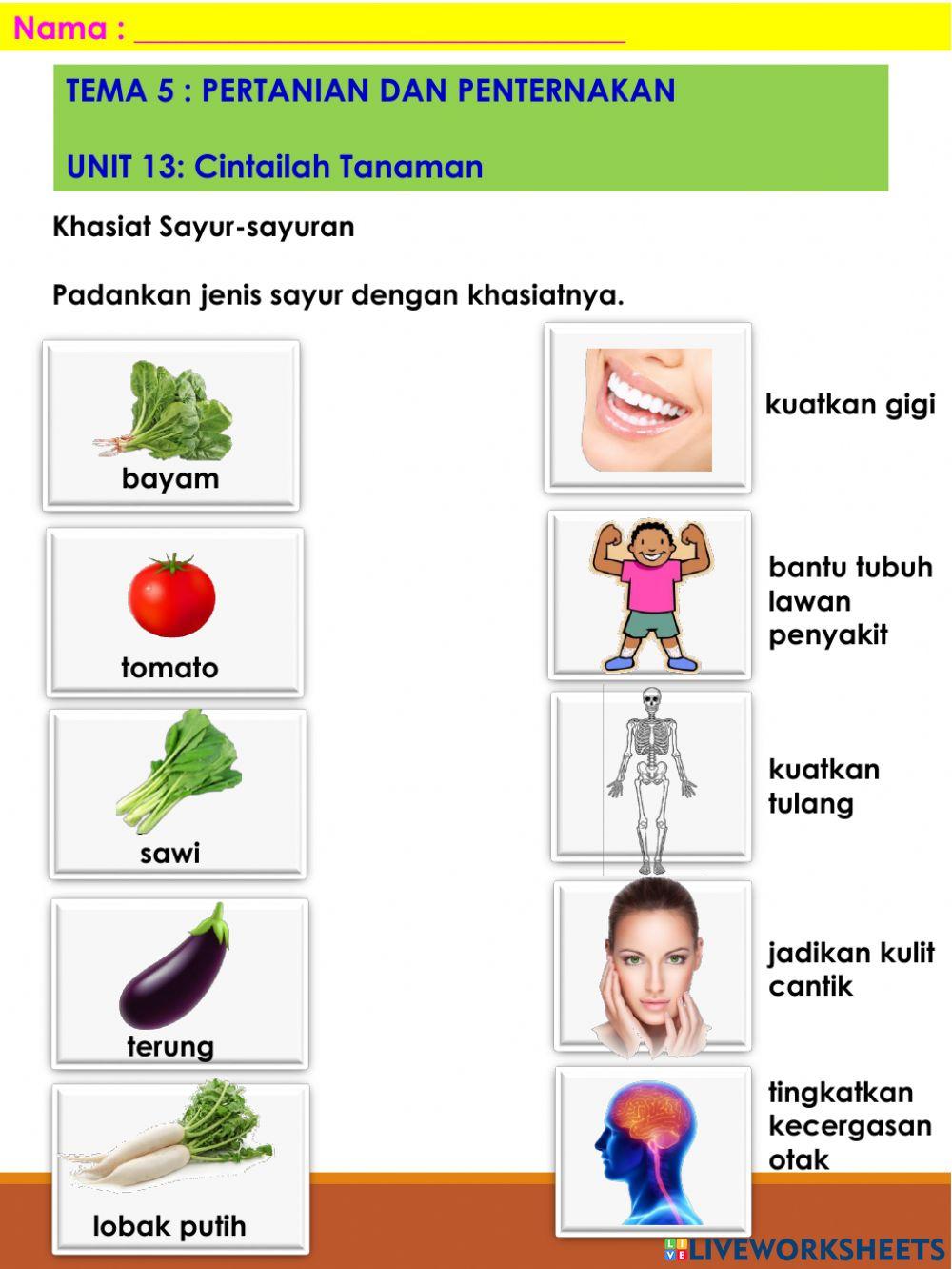 Bm ppki t4 worksheet | Live Worksheets