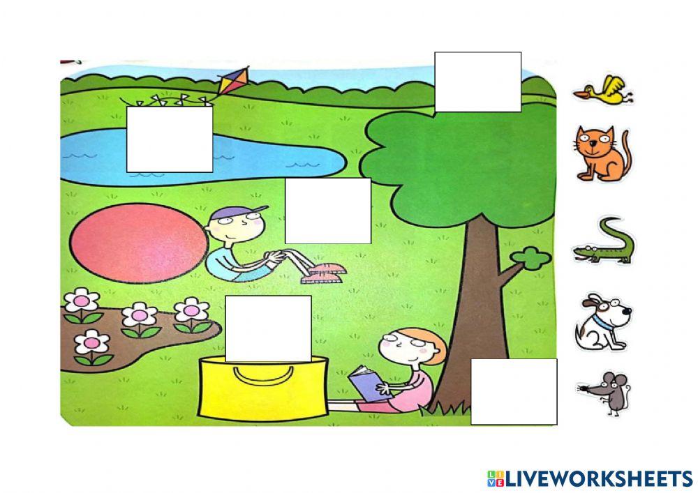 Unit 3 Pet show activity for Year 1 | Live Worksheets