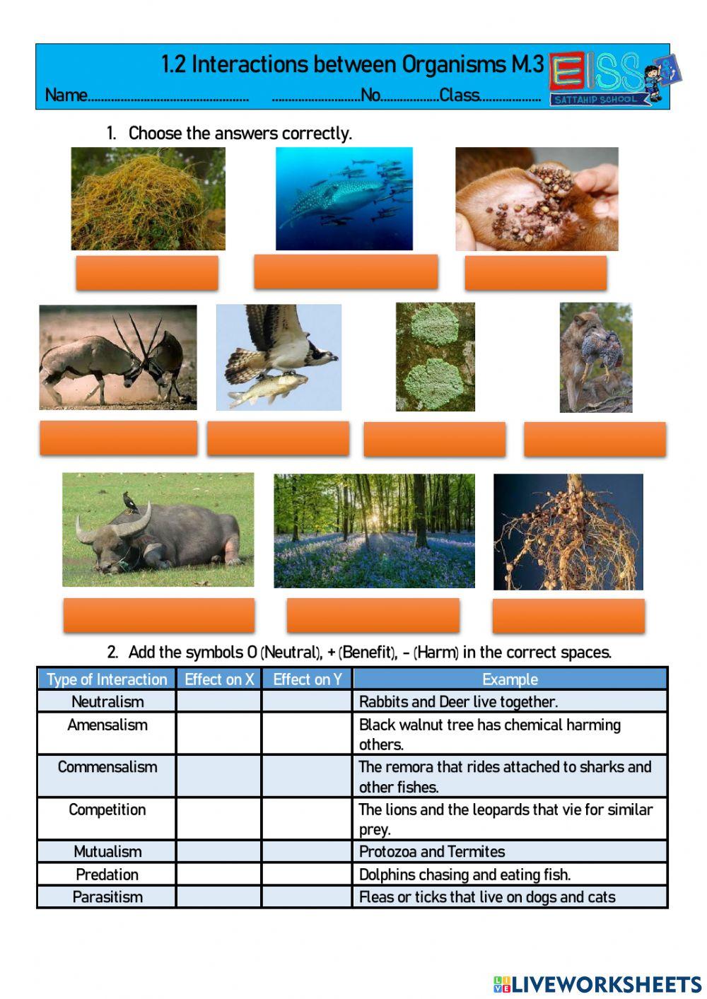 1.2 Interaction… | Free Interactive Worksheets | 3224710