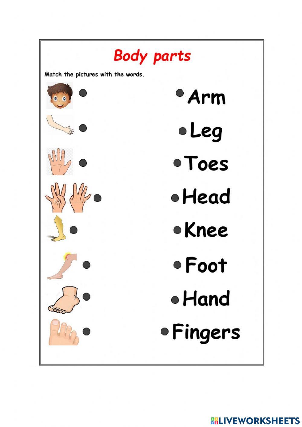 Body part 1195394 | Surya Etika | LiveWorksheets