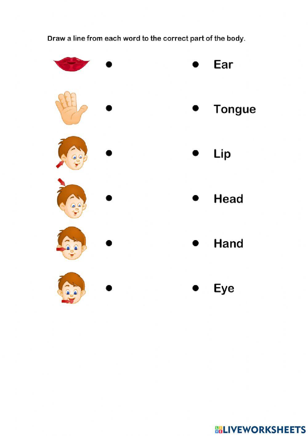 Body part 1195394 | Surya Etika | LiveWorksheets