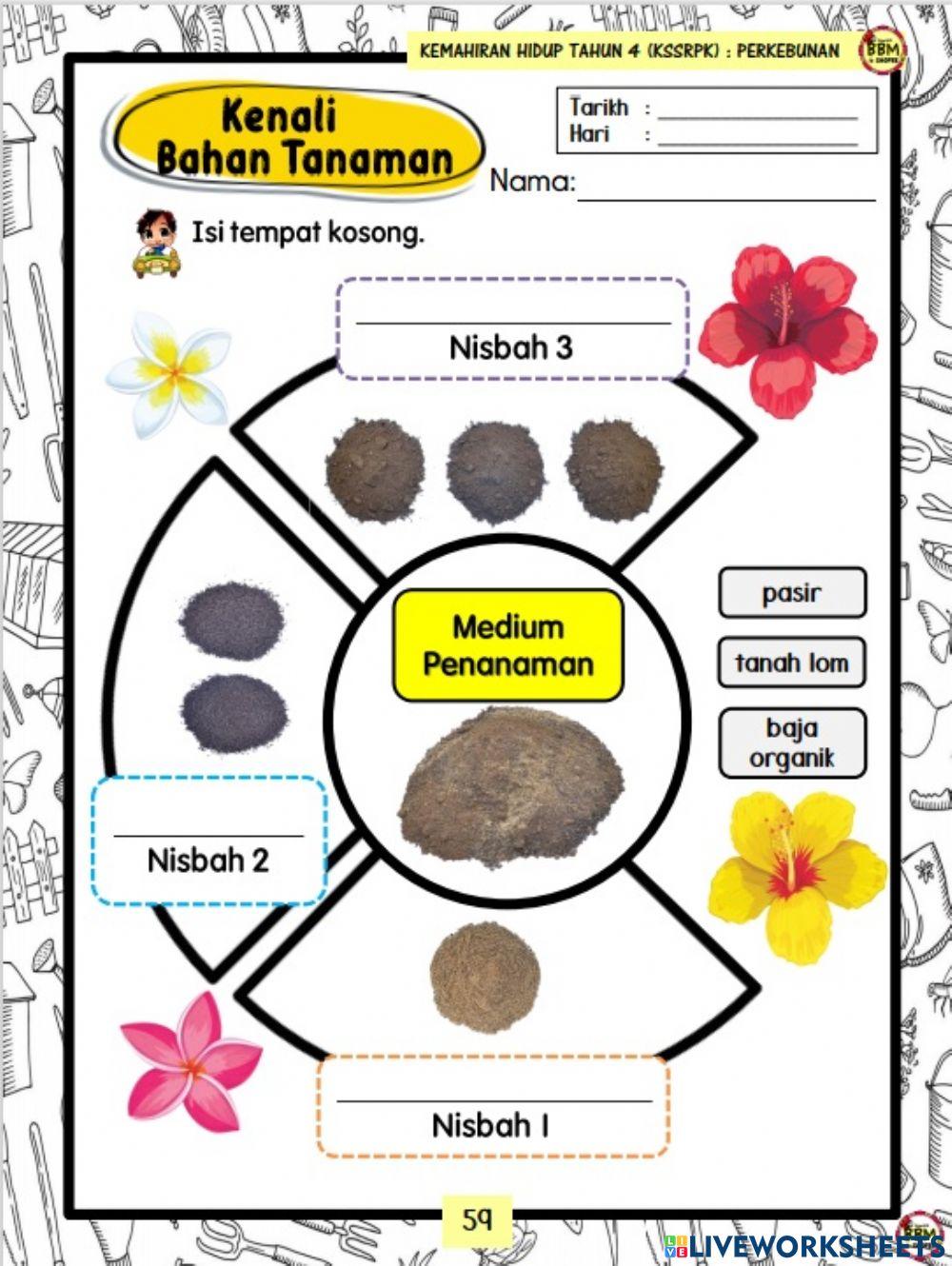 Medium Penanaman 1195562 | cikgu_iskandar | Live