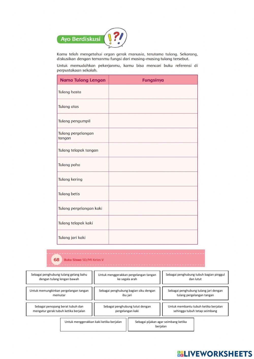 Rangka Manusia online activity for 5 | Live Worksheets