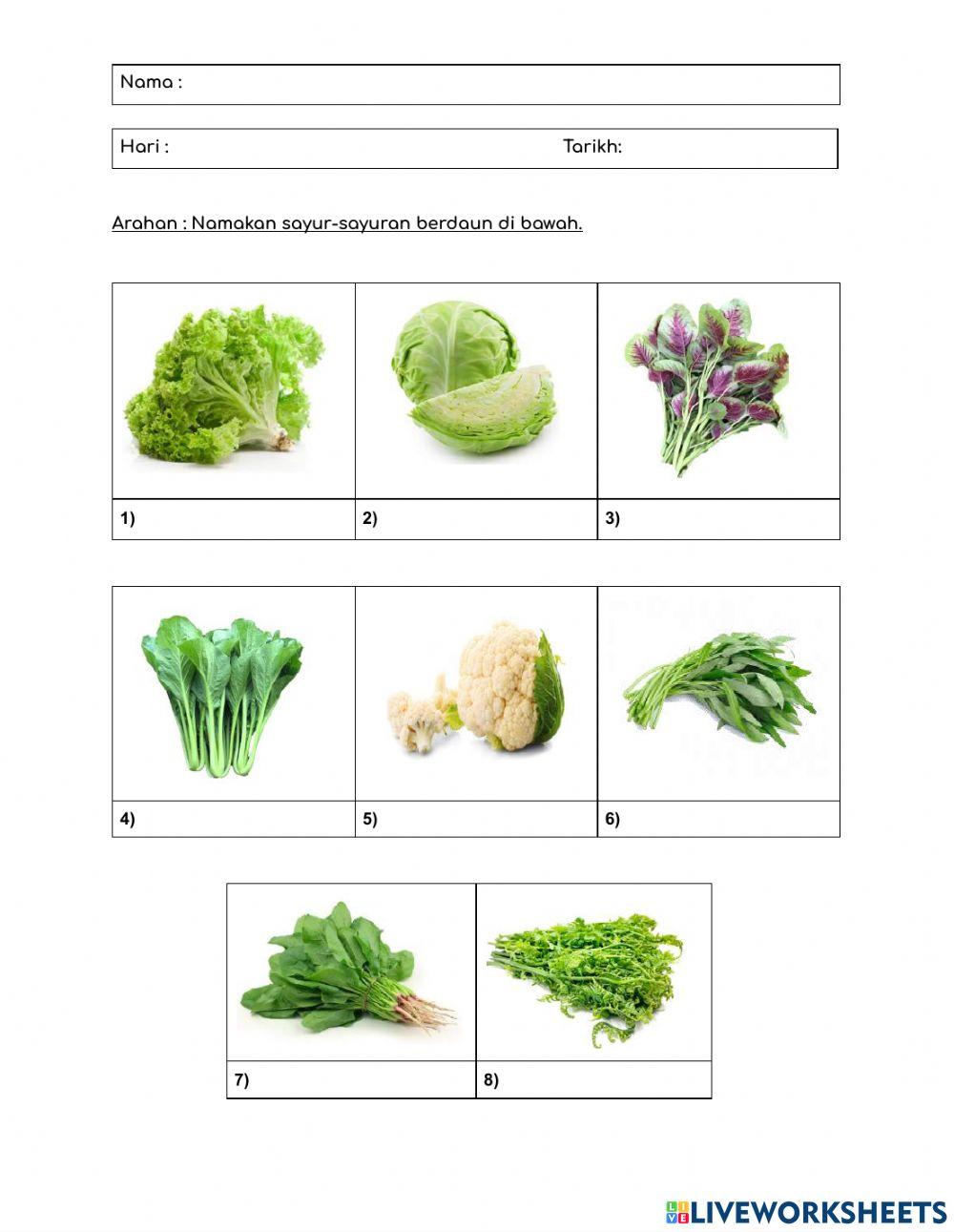 Sayuran berdaun exercise | Live Worksheets