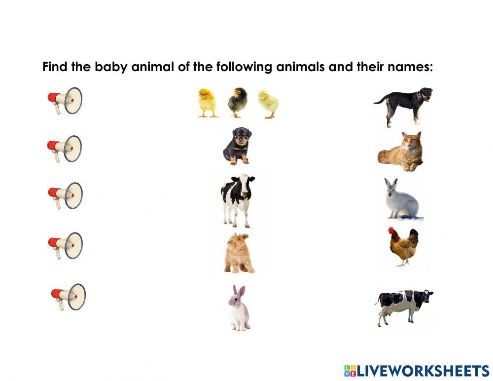 Baby animal worksheet | Live Worksheets