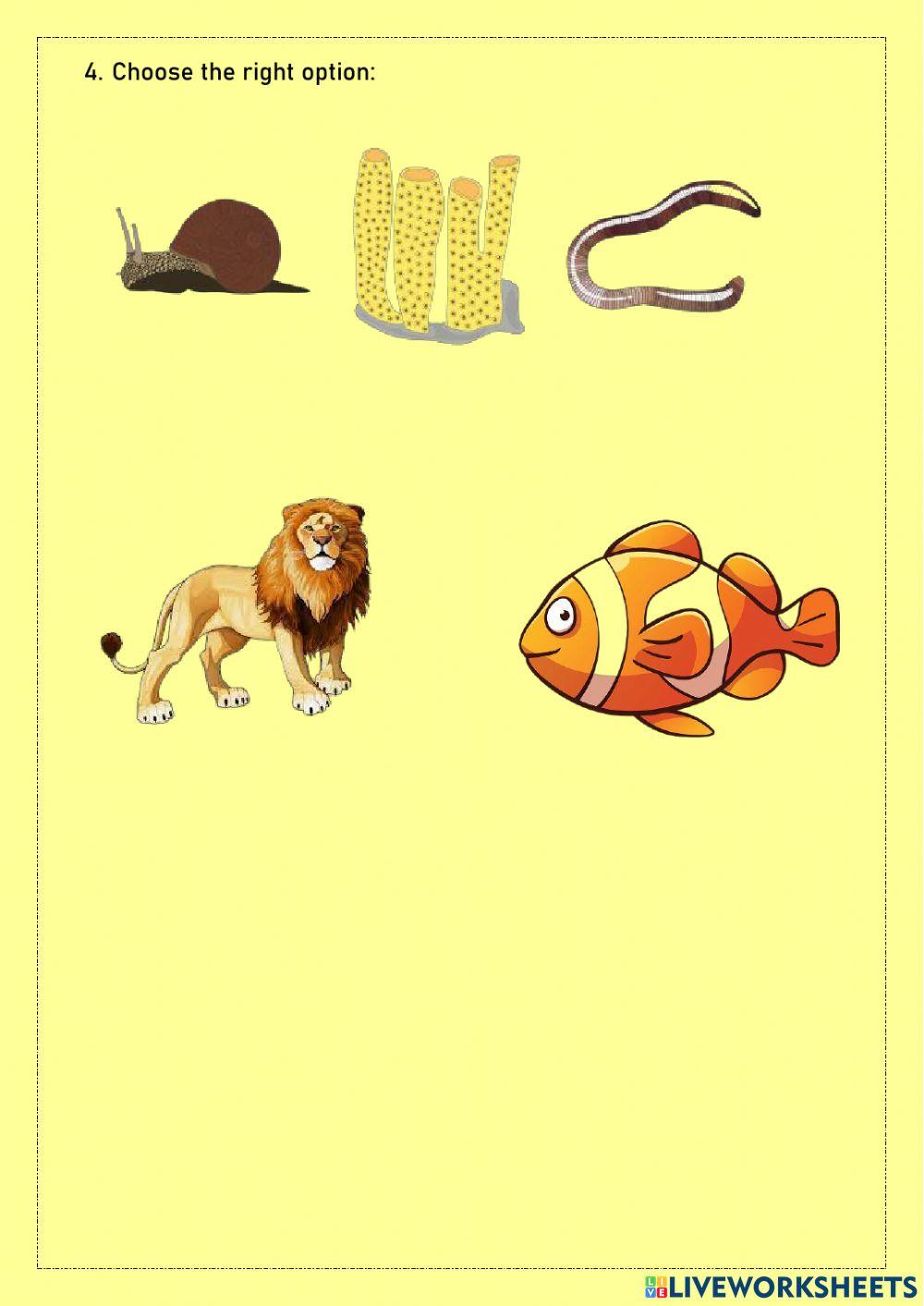 Animal classification online pdf worksheet | Live Worksheets