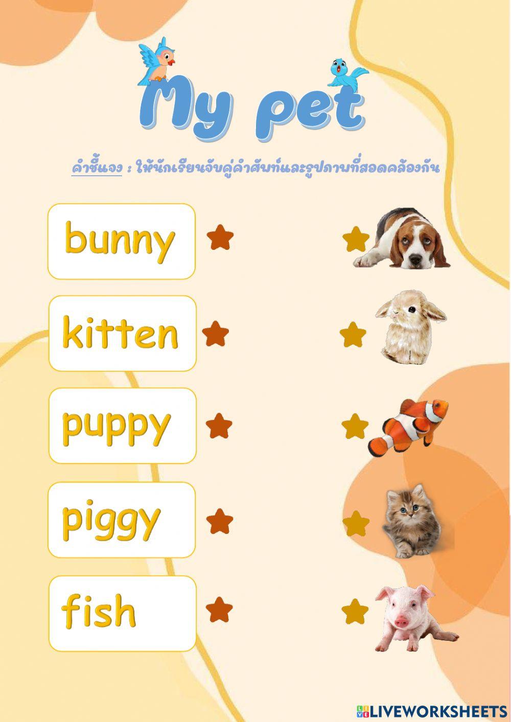 Pdf online activity: My pet | Live Worksheets