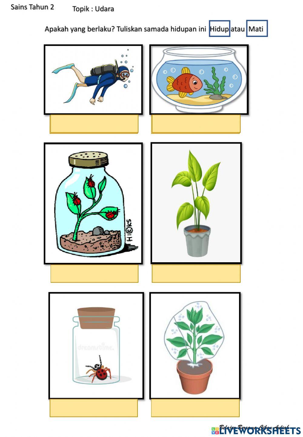 Sains online exercise for TAHUN 2 | Live Worksheets