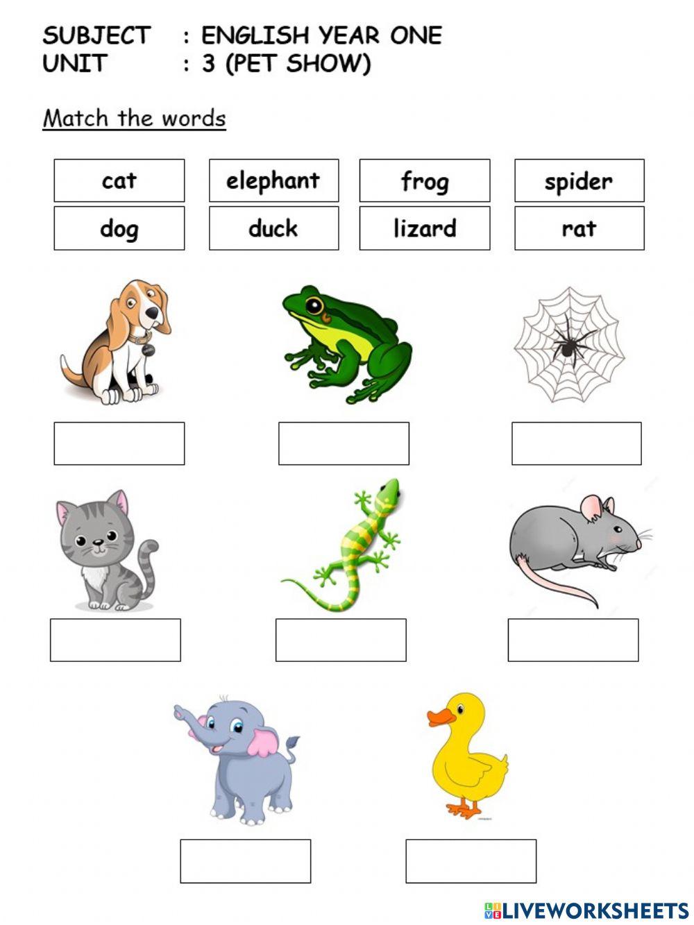 Exercise pet show worksheet | Live Worksheets