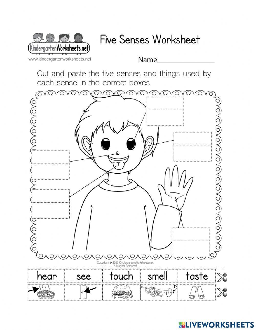1202416 | 5sense | Tc_Nabeela | LiveWorksheets
