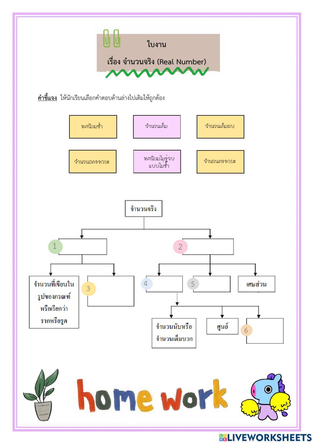 real numbers chart work