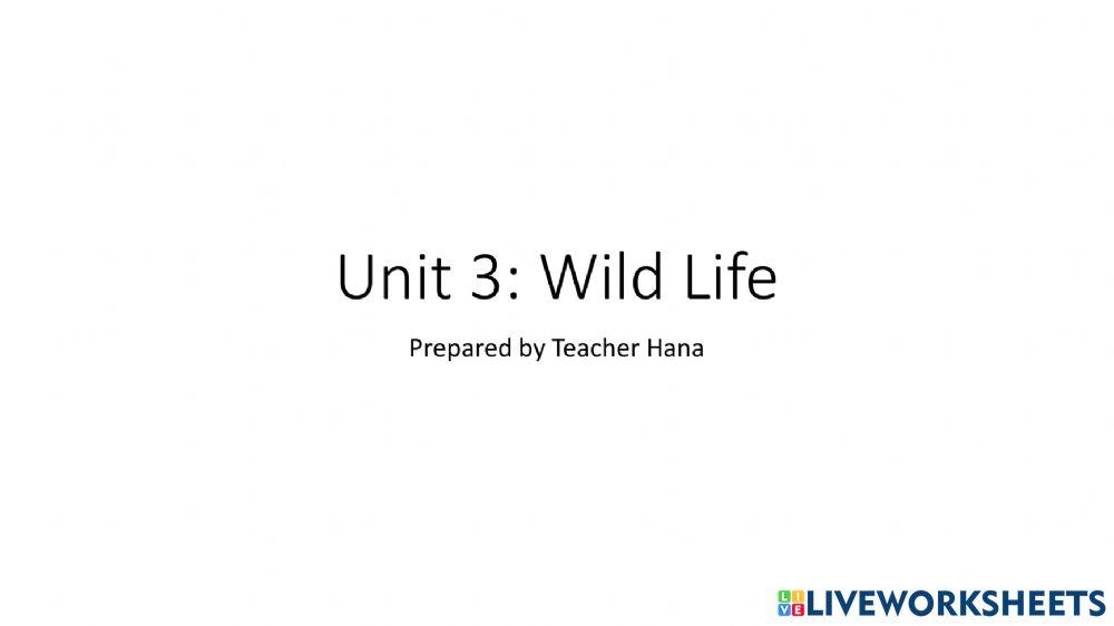 Unit 3: wild life interactive worksheet | Live Worksheets