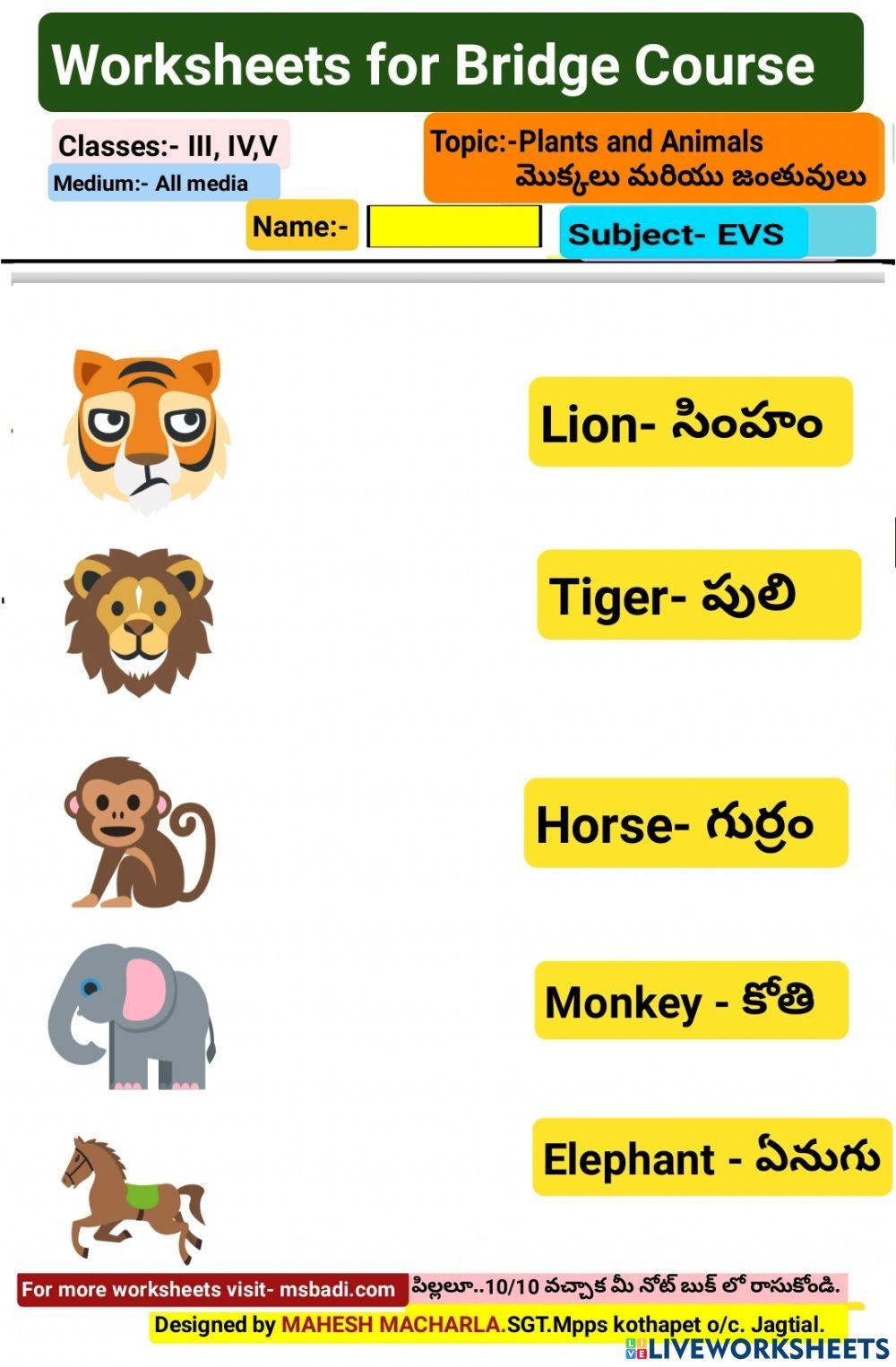 Level-1-evs-28-7 worksheet | Live Worksheets