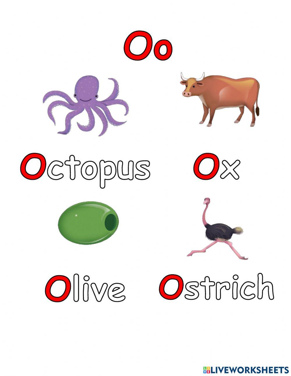 3238362 | Phonics MNO | Alexey Zhukov | LiveWorksheets