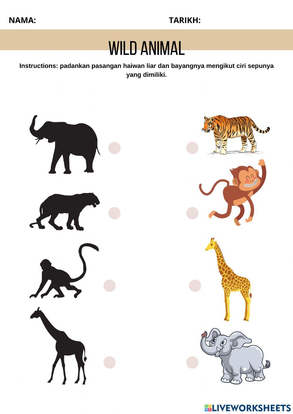Wild animal exercise for preschool | Live Worksheets