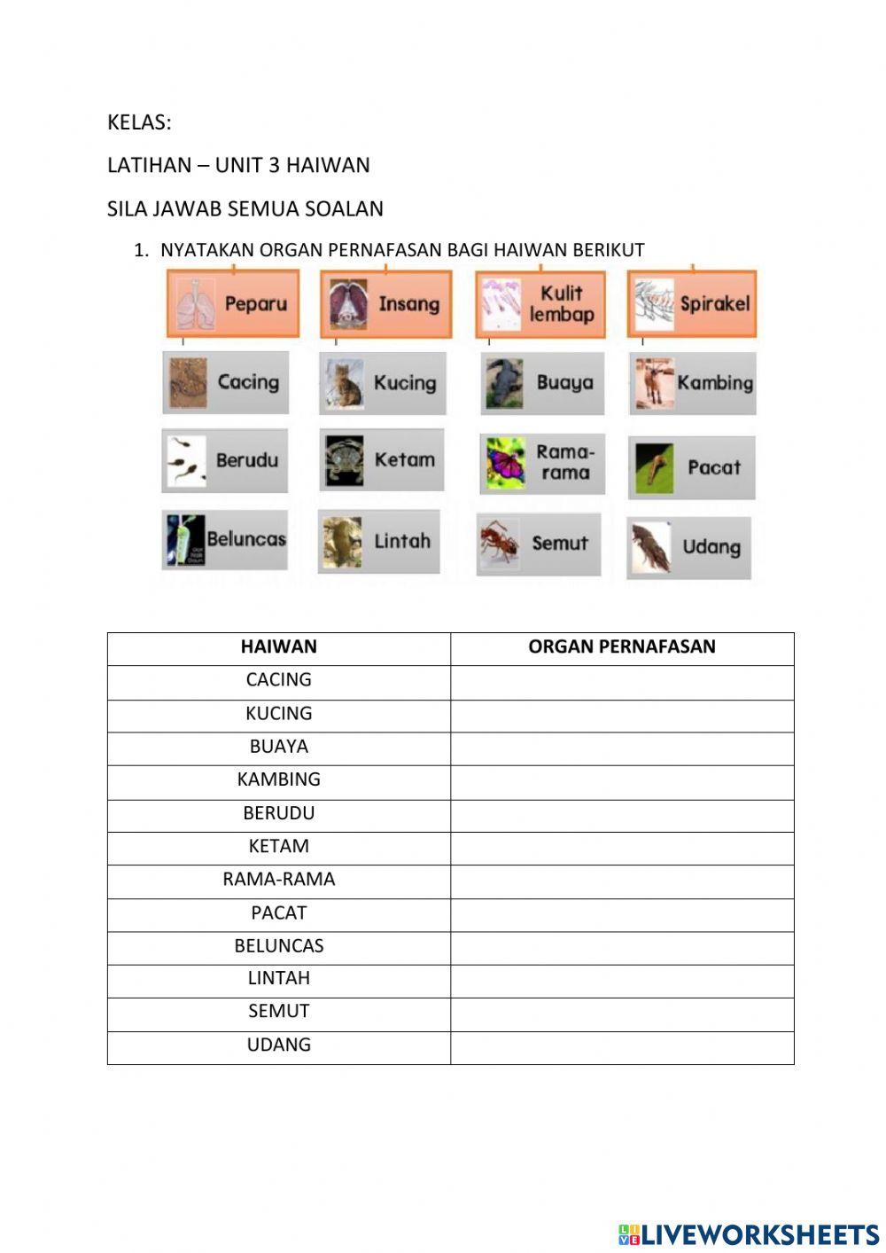 Latihan sains tahun 4 - haiwan worksheet | Live Worksheets