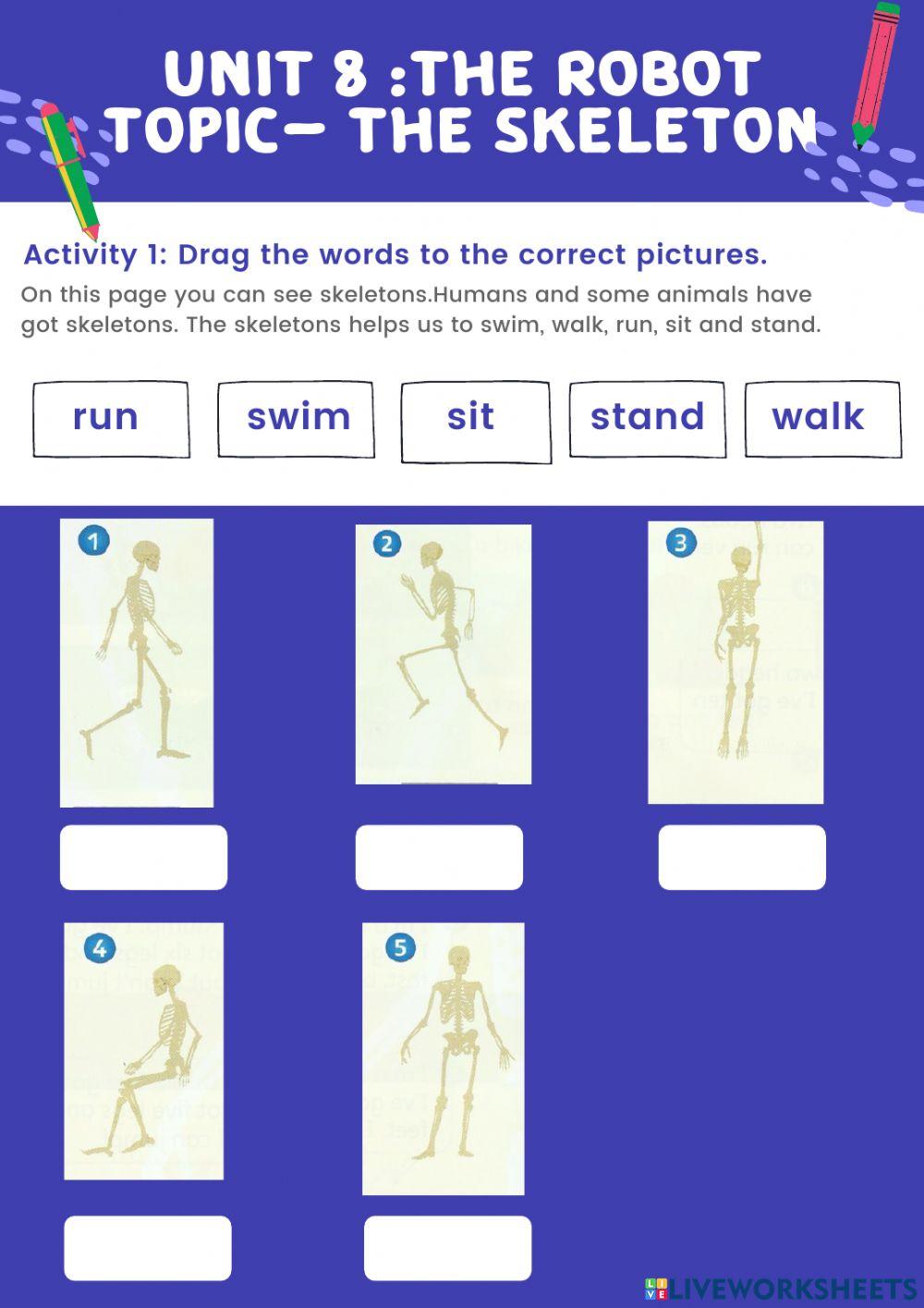 Unit 8:The robot ( The Skeletons) interactive worksheet | Live Worksheets