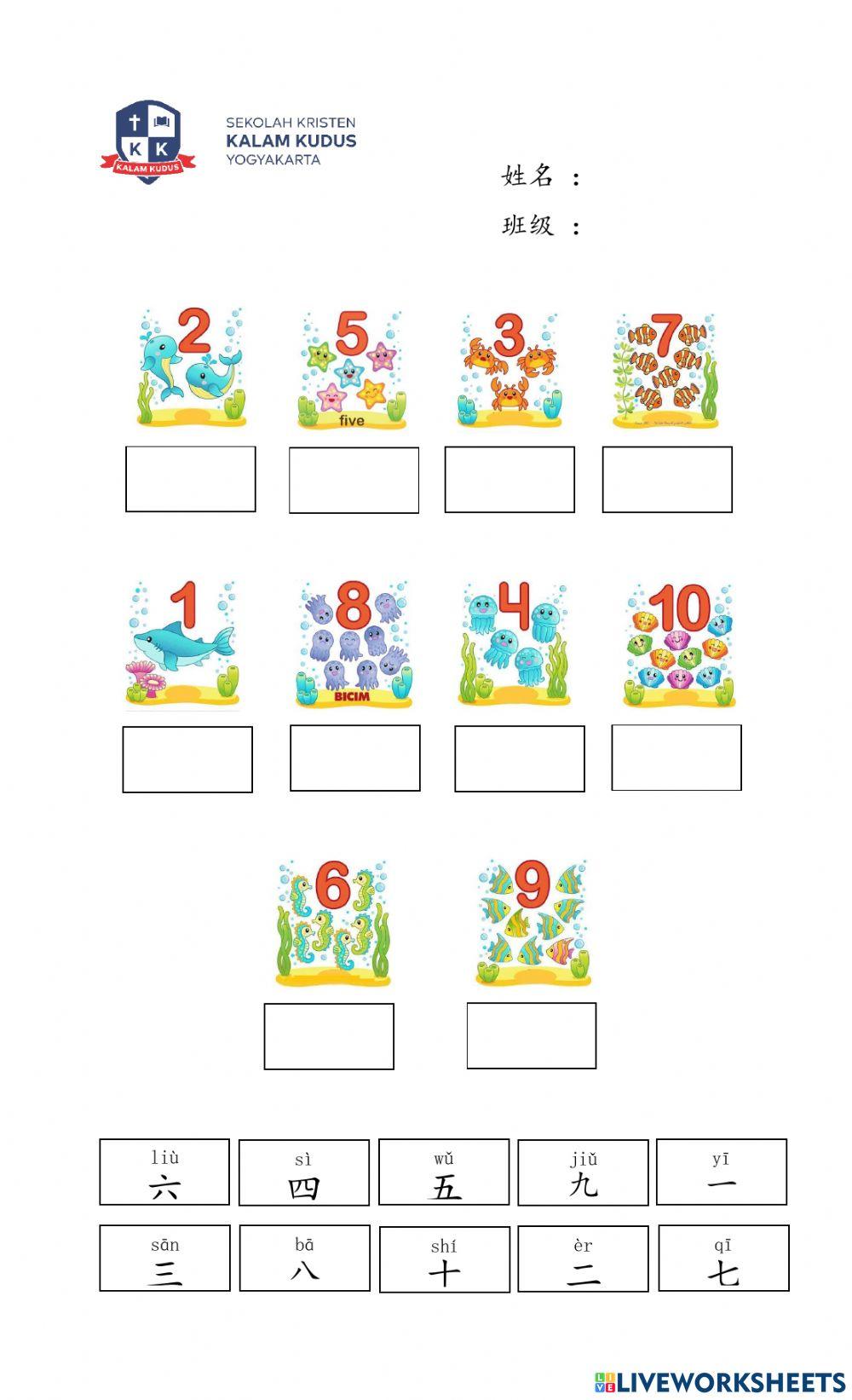 MANDARIN Angka … | Free Interactive Worksheets | 1207424