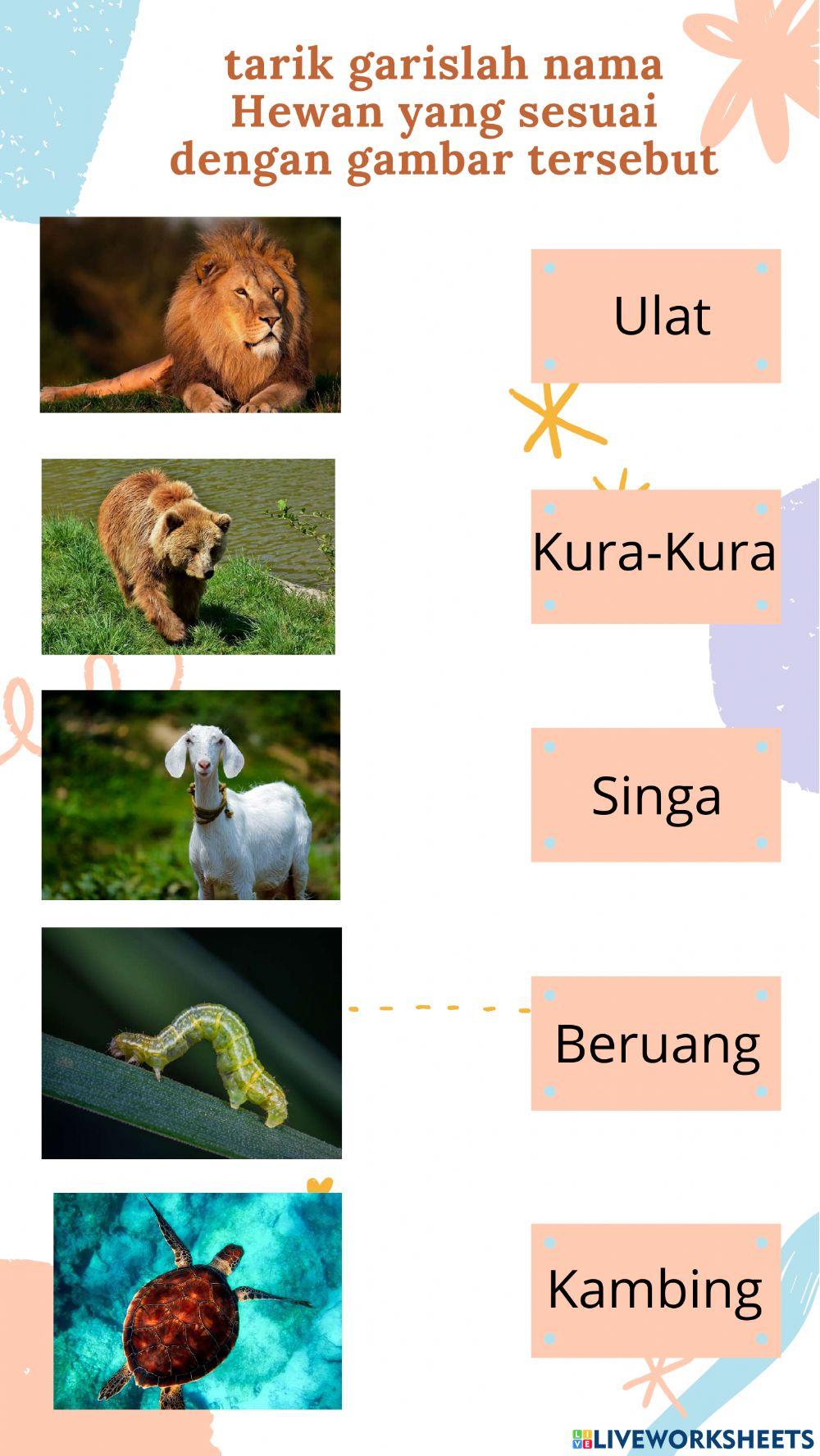 Mengenal binatang worksheet | Live Worksheets