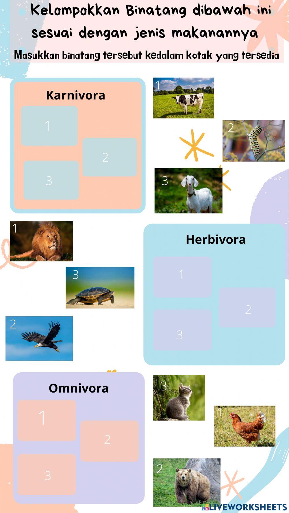 Mengenal binatang worksheet | Live Worksheets