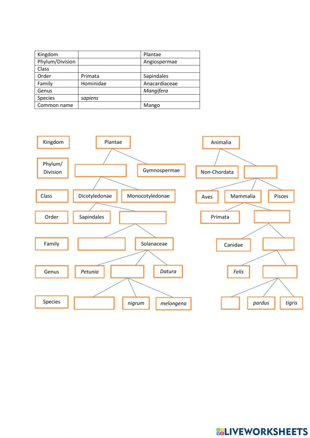 Taxonomic heirr… | Free Interactive Worksheets | 1208290