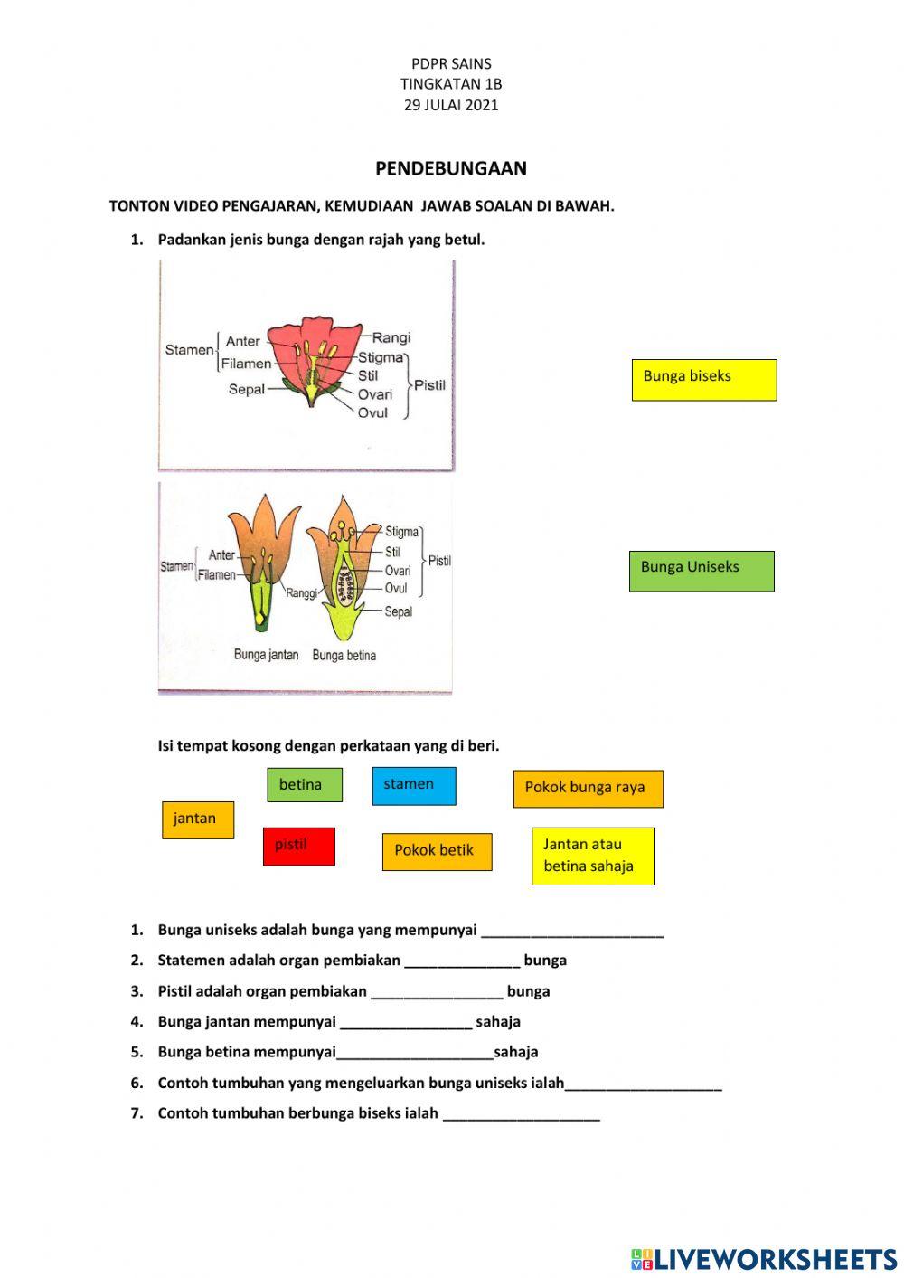 Jenis bunga dan pendebungaan 1208387 | yanibayani | Live