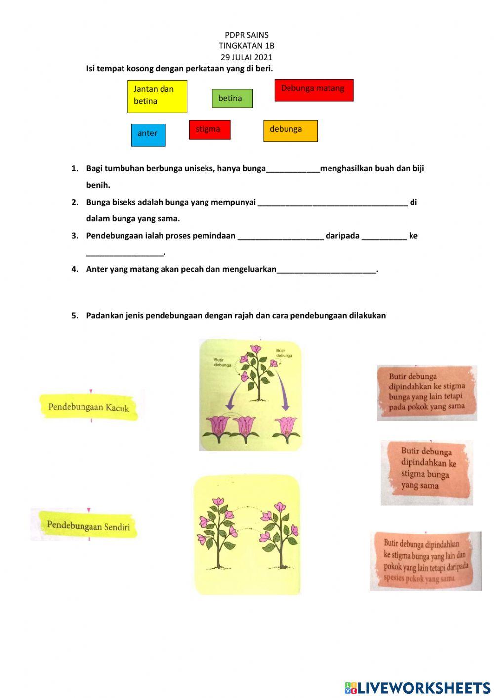 Jenis bunga dan pendebungaan 1208387 | yanibayani | Live