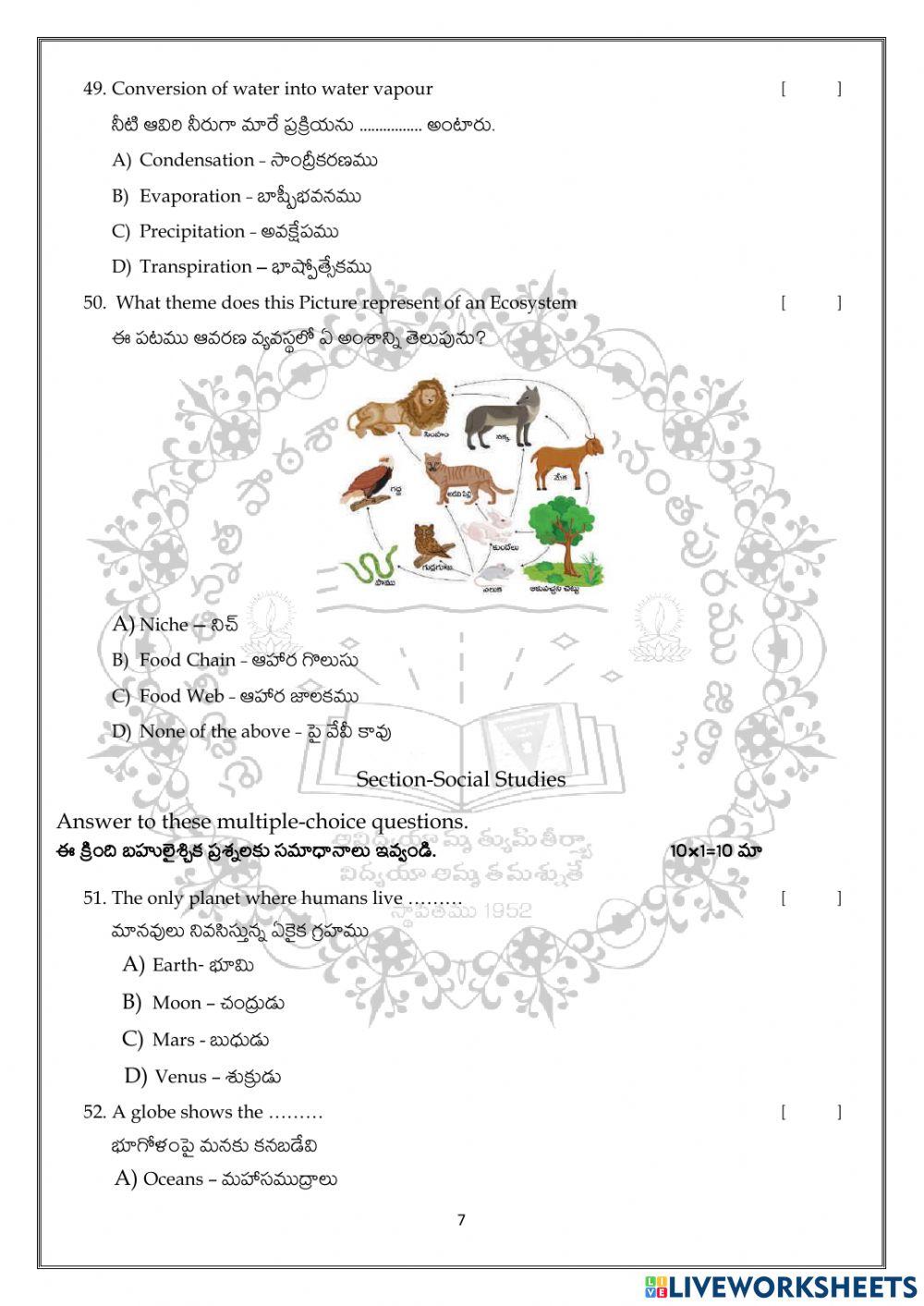 7 baseline test worksheet | Live Worksheets