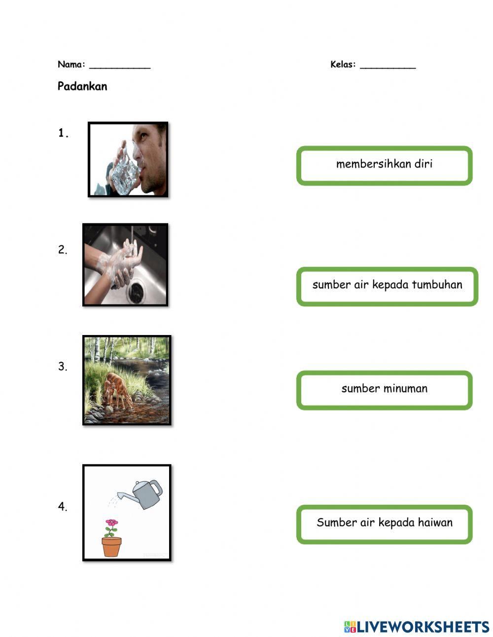 Kepentingan air | Live Worksheets