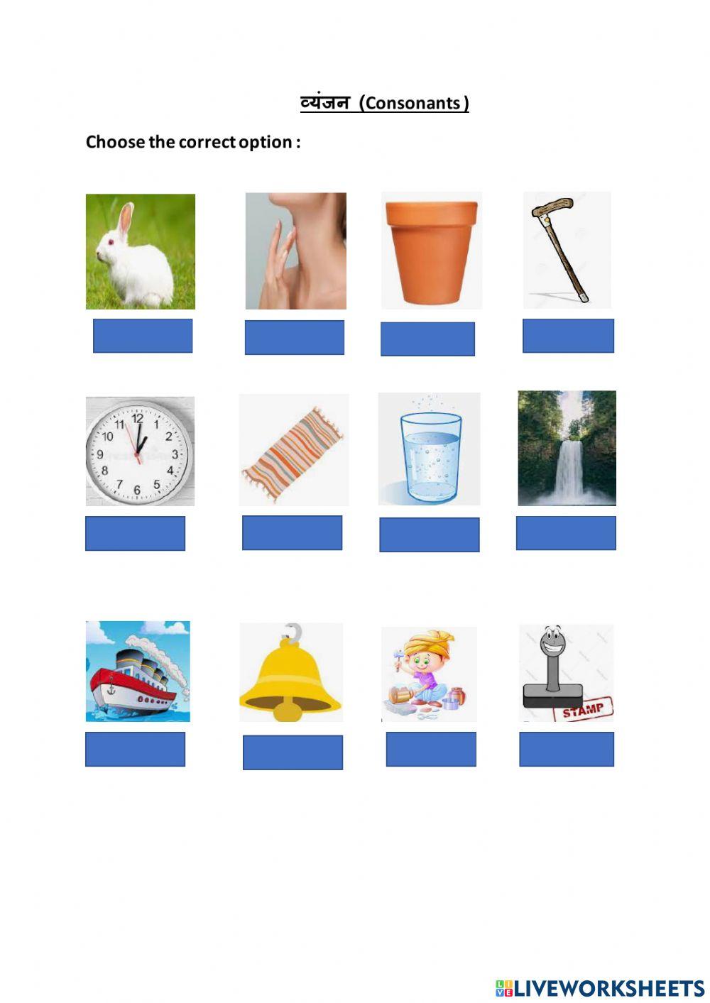 Choose the option 1210272 | sreenakp | Live Worksheets