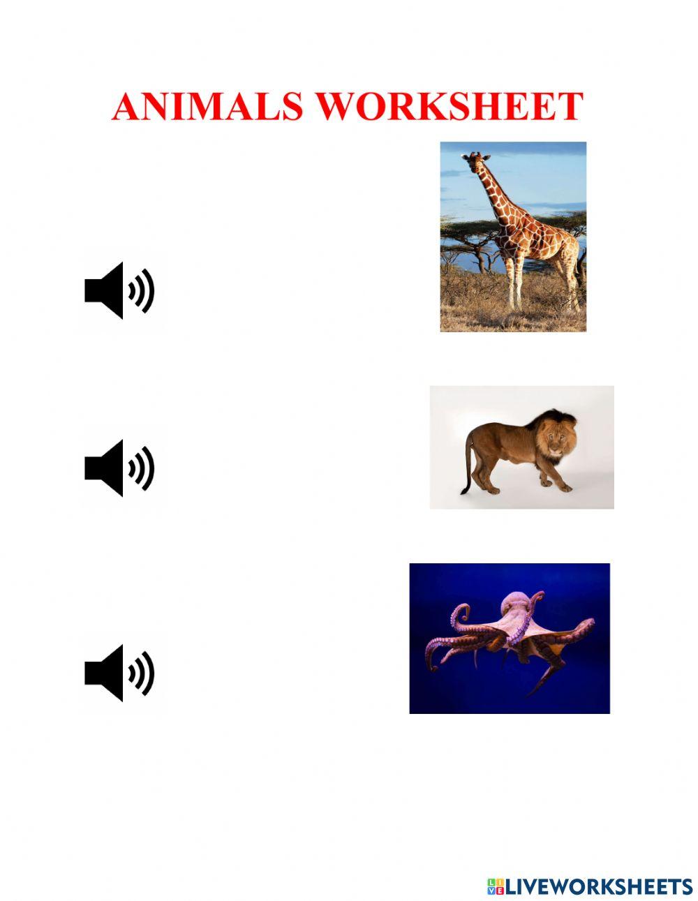 Animals online exercise for KG | Live Worksheets