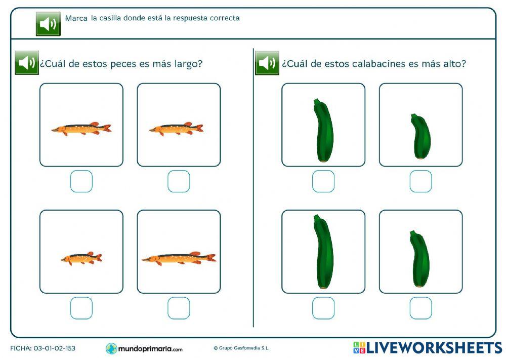 Comparación según longitud worksheet | Live Worksheets