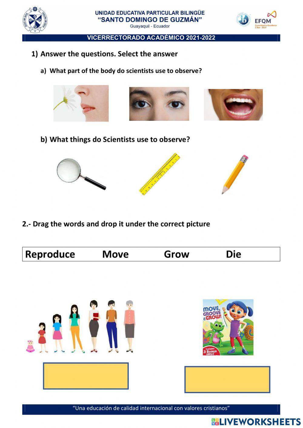 Science quiz Science exercise | Live Worksheets