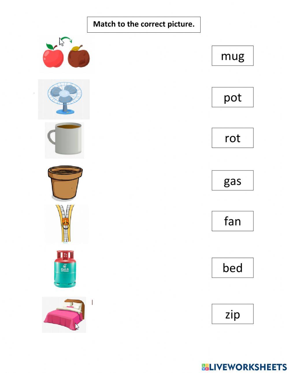 Pink words initial middle final worksheet 1211533