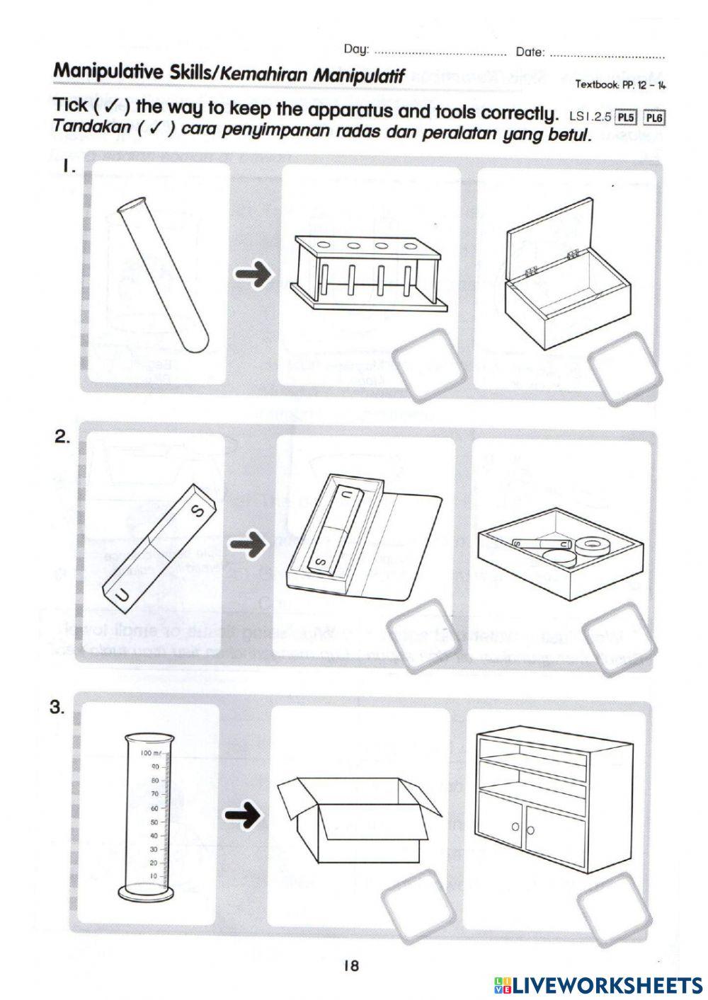 SCIENCE PROCESS SKILLS YEAR 2 3585628 | masozyra82 | Live