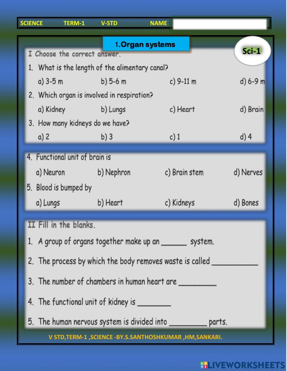 V science-organ system exercise | Live Worksheets