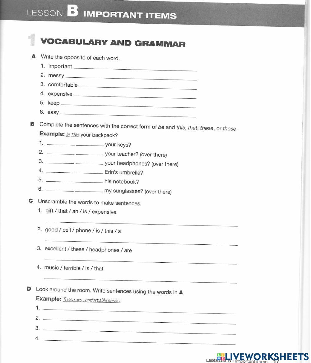 Unit 3 Lesson B. Important Items online exercise for | Live Worksheets