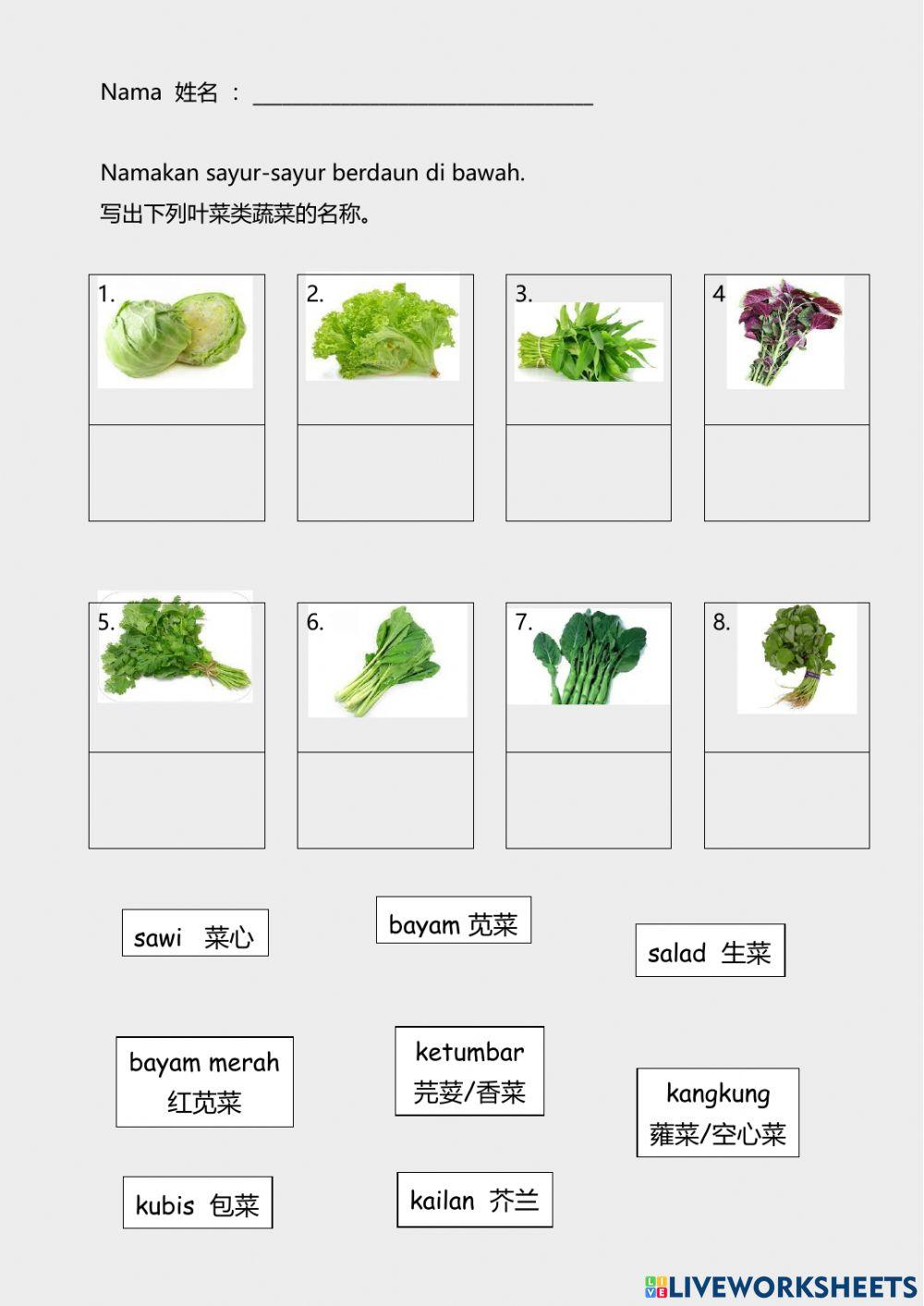 Sayur berdaun 叶菜类蔬菜 worksheet | Live Worksheets