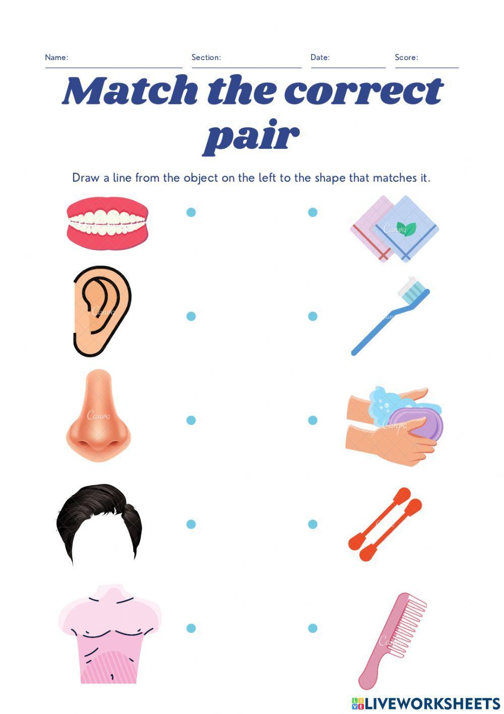 Cleanliness in … | Free Interactive Worksheets | 1214563