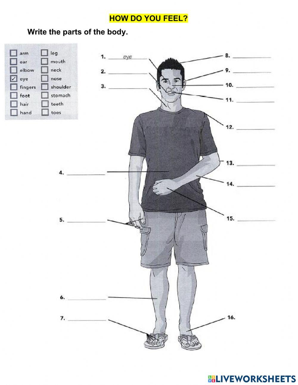 Common ailments online exercise for | Live Worksheets