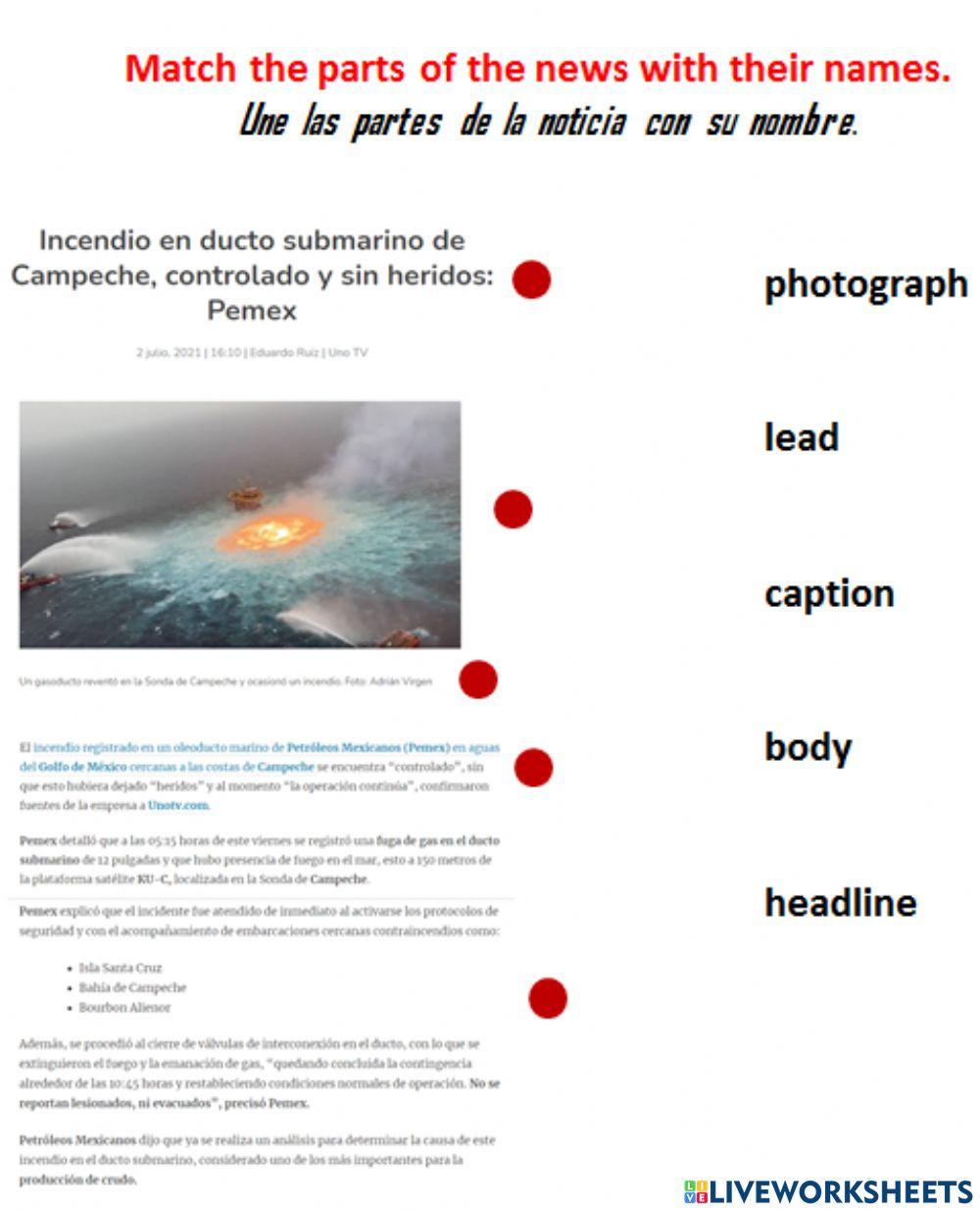 Newsletter online exercise for | Live Worksheets