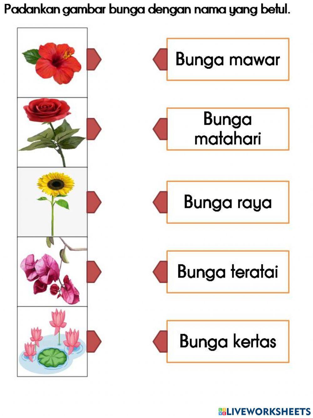 padankan nama bunga online exercise for | Live Worksheets