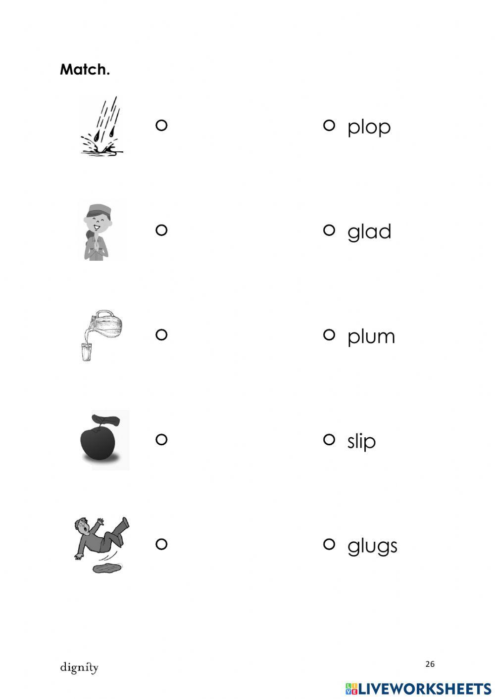 Pl ,sl ,gl worksheet worksheet | Live Worksheets