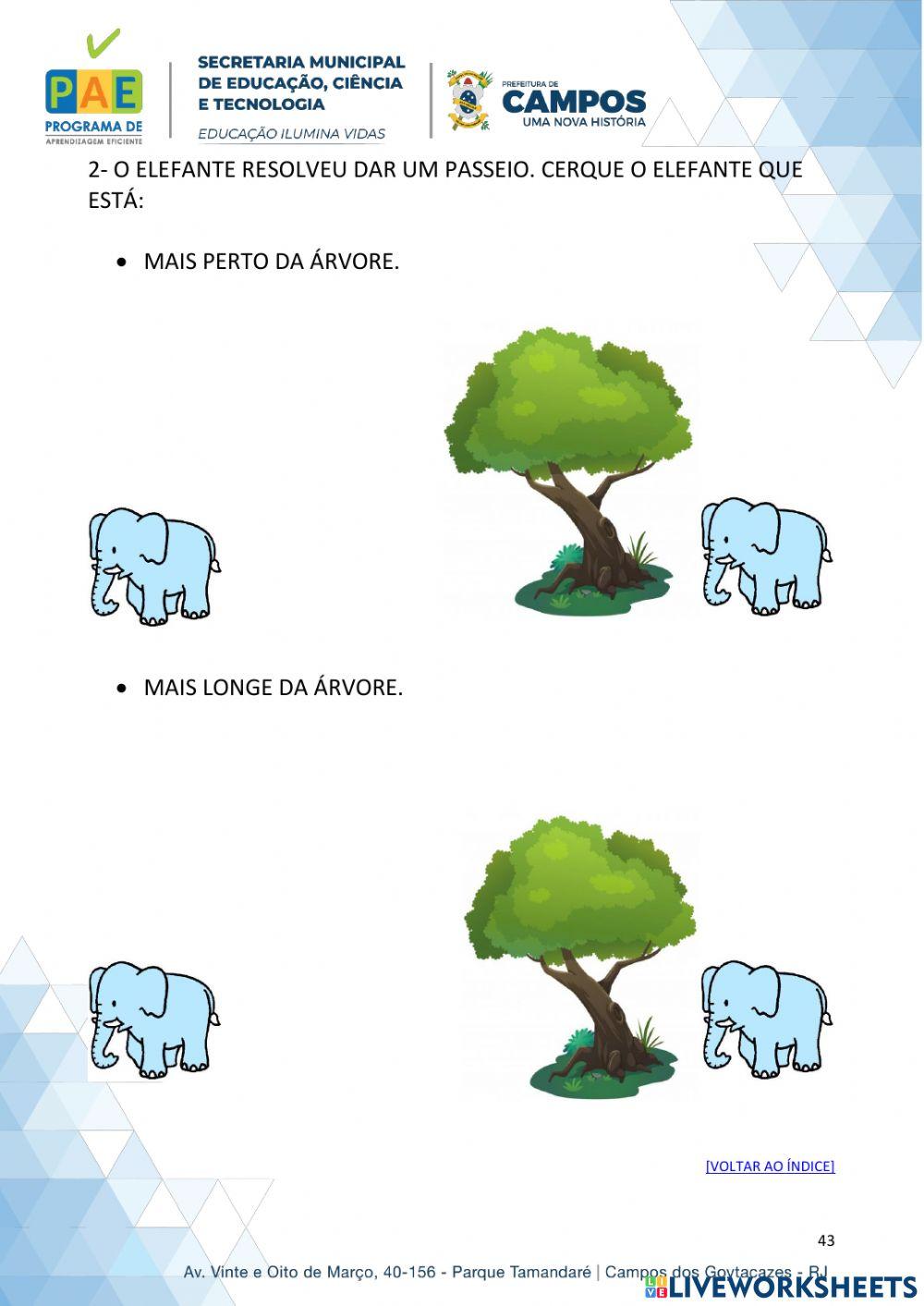 Perto-longe worksheet | Live Worksheets