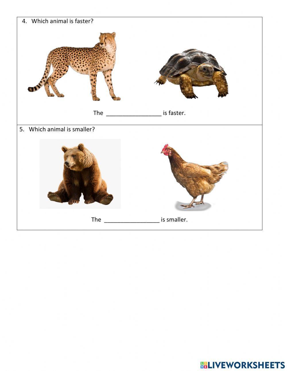 Comparisons worksheet for beginner | Live Worksheets