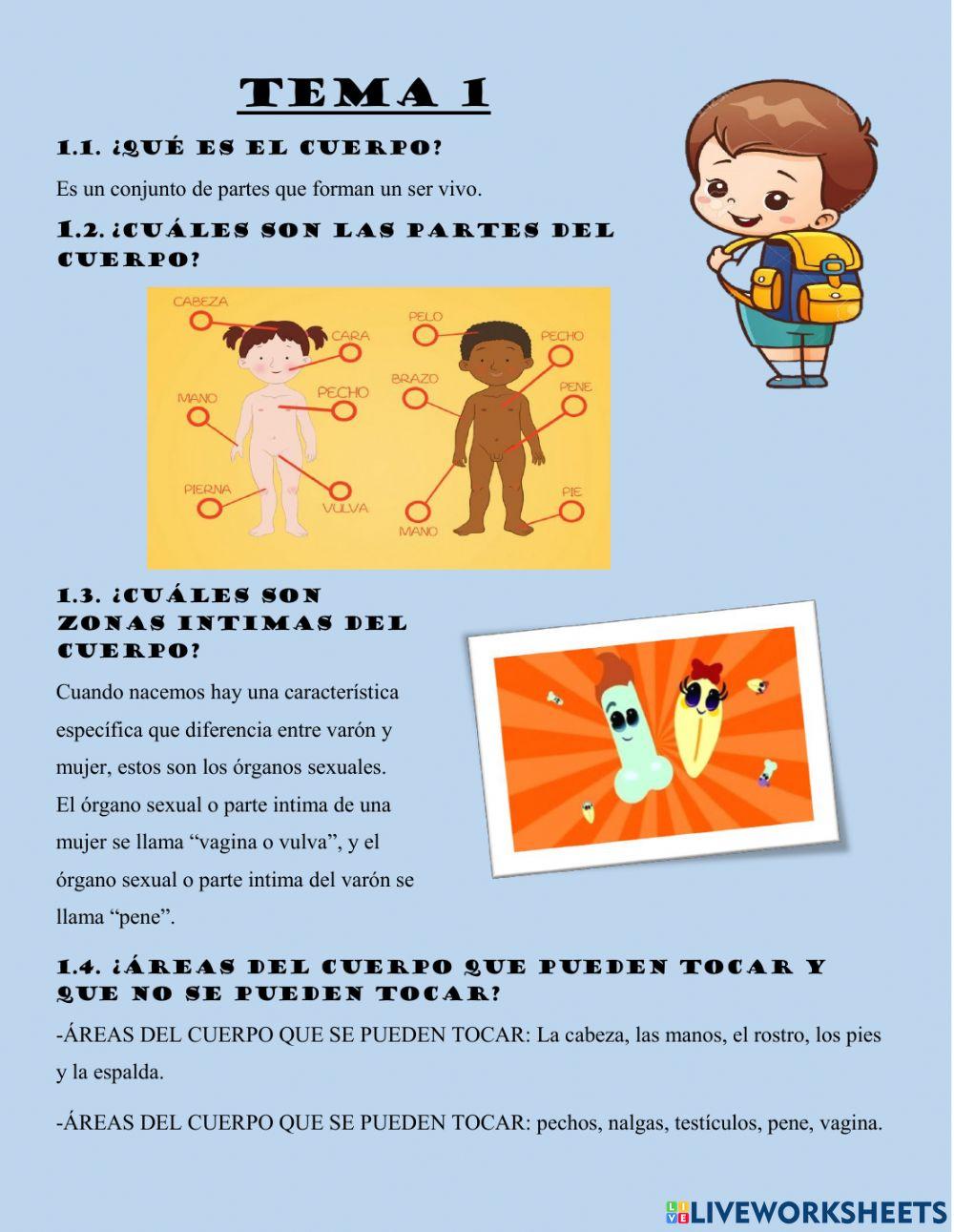 Partes privadas worksheet | Live Worksheets