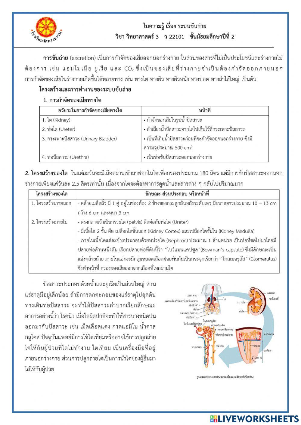 ระบบขับถ่าย 1145006 | Prapatson Chaloeywaret | Live