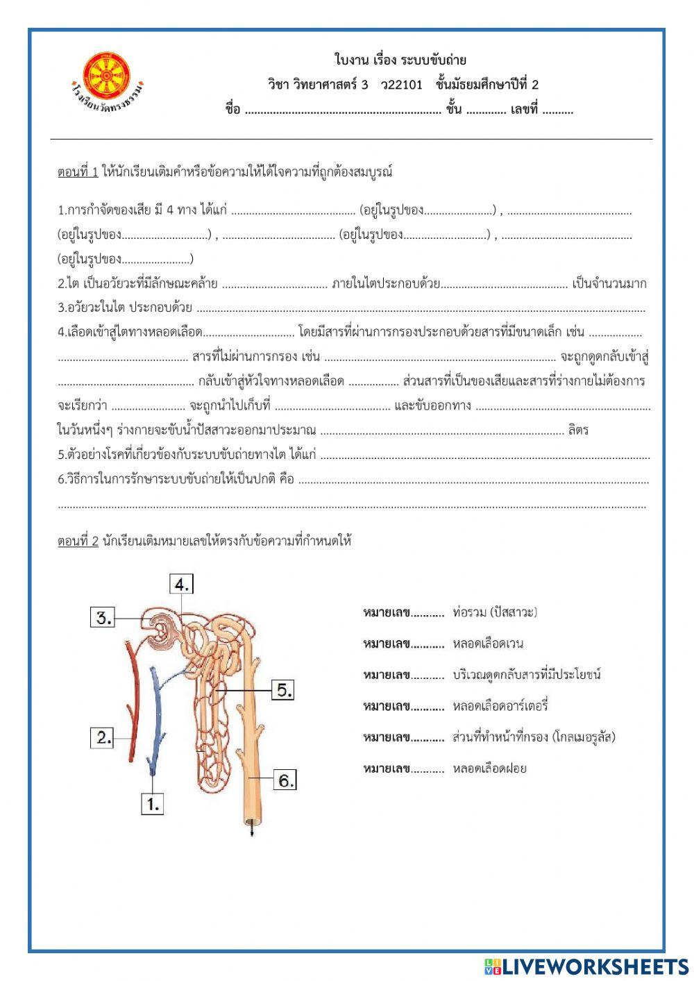 ระบบขับถ่าย 1145006 | Prapatson Chaloeywaret | Live